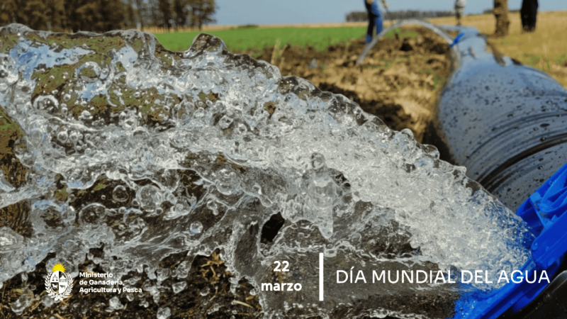 22 de marzo - Día Mundial del Agua - Soriano al día